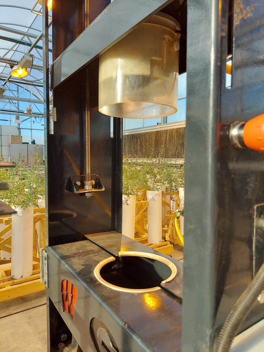 Research – Forage Systems Agroecology